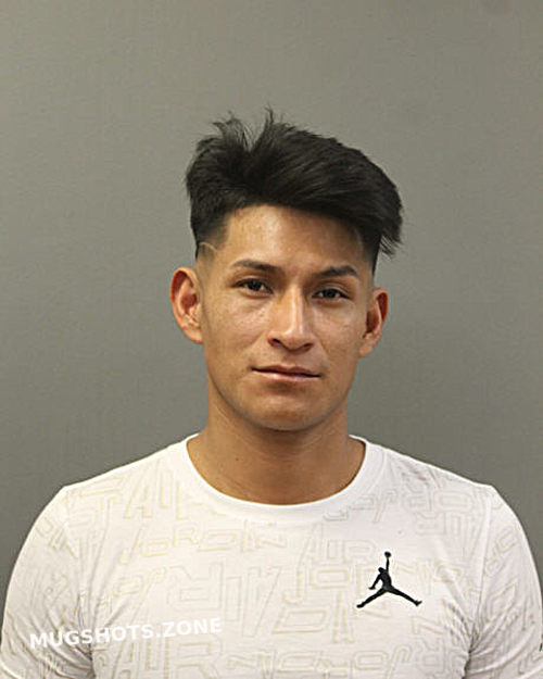 LUIS A CASTRO-CHANGOLUISA 02/04/2024 - Chicago Mugshots Zone