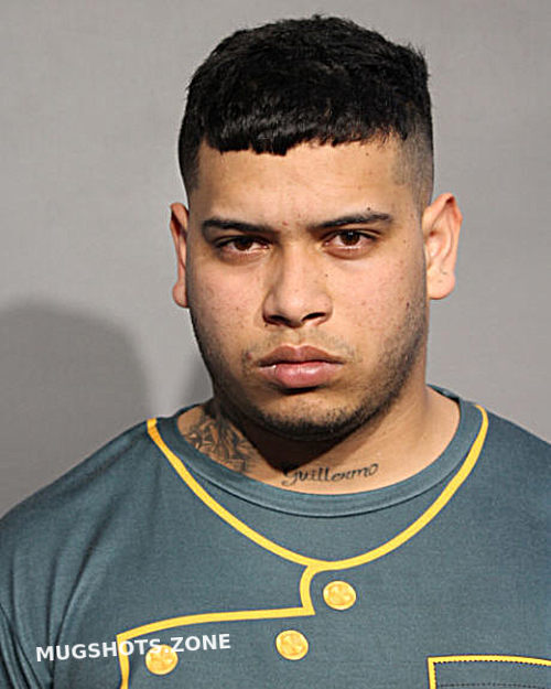 JHORJAN GUILLERMO SUAREZ ROBLES 02/04/2024 - Chicago Mugshots Zone