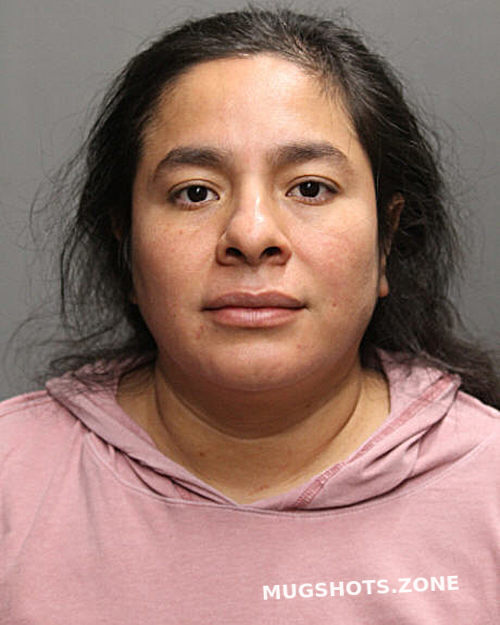 SELENE BOLANOS APAEZ 02/07/2024 - Chicago Mugshots Zone