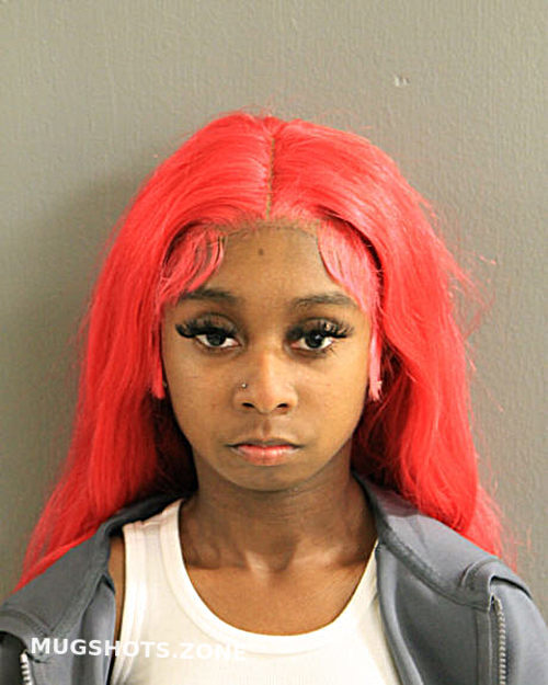 HANNAH WILLIAMS 02/10/2024 - Chicago Mugshots Zone