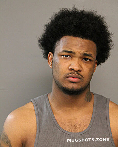 STEVEN L REED 02/10/2024 - Chicago Mugshots Zone