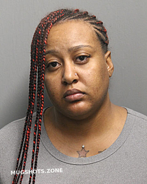 SIERRA BAGGETT 02/13/2024 - Chicago Mugshots Zone