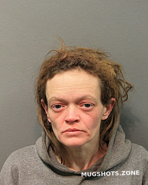 Nina A Fulcher 02142024 Chicago Mugshots Zone 2513