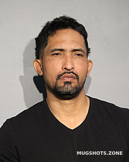SAUL GERMAN GONZALEZ-ZERPA 02/14/2024 - Chicago Mugshots Zone