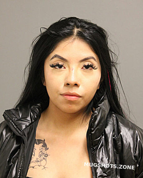 CAROLINA CAPOTE 02/21/2024 - Chicago Mugshots Zone