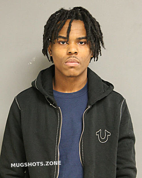 TYLER PEDEN 02/21/2024 - Chicago Mugshots Zone