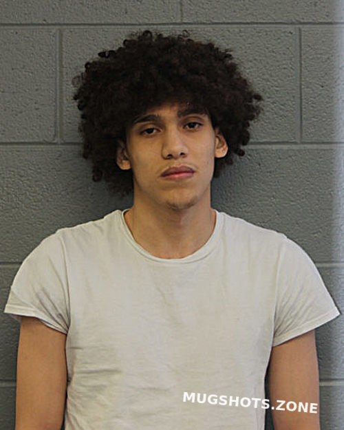 ANTHONY ALEXANDER BOU 02/22/2024 - Chicago Mugshots Zone