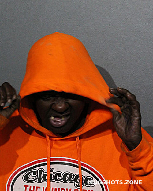 LISA L BOOSE 02/23/2024 - Chicago Mugshots Zone