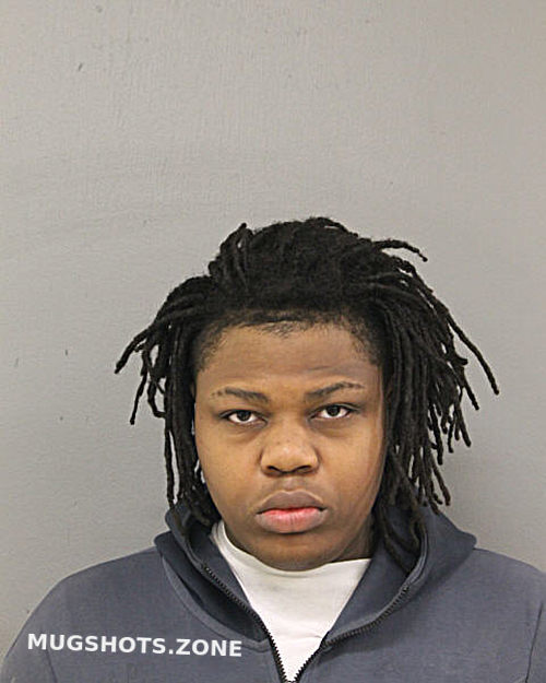 EDWARD WILLIAMS 02/28/2024 - Chicago Mugshots Zone