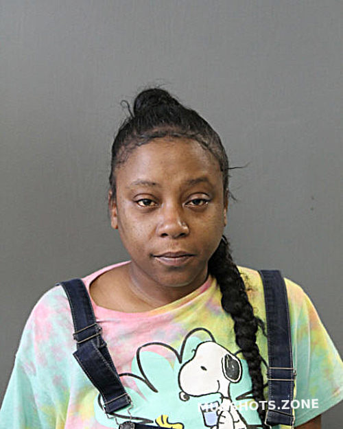 LISA M COX 02/28/2024 - Chicago Mugshots Zone