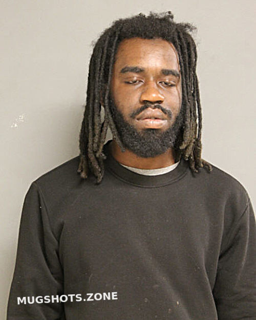 GABRIEL JUDE FIELDS 02/28/2024 - Chicago Mugshots Zone