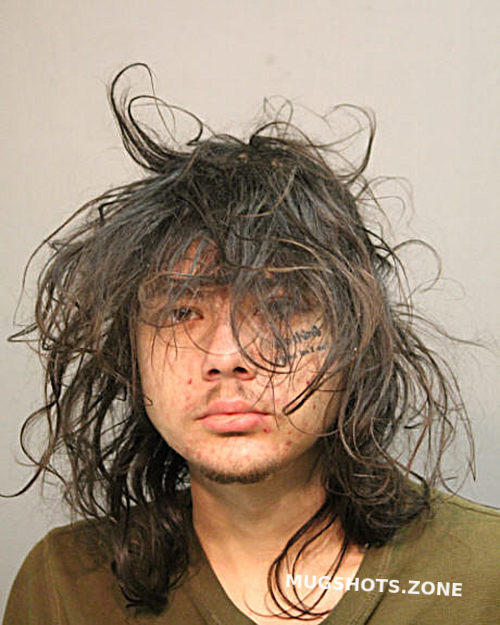 JOSEPH ROMEO SCHAFFNER 03/01/2024 - Chicago Mugshots Zone