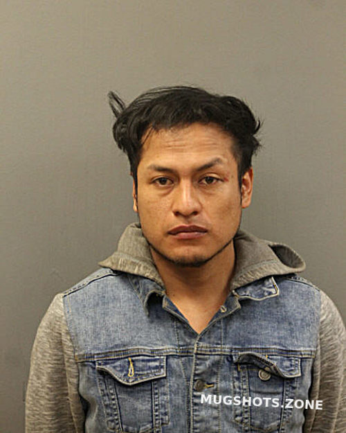 LUIS ALEJANDRO PATILLO 03/03/2024 - Chicago Mugshots Zone