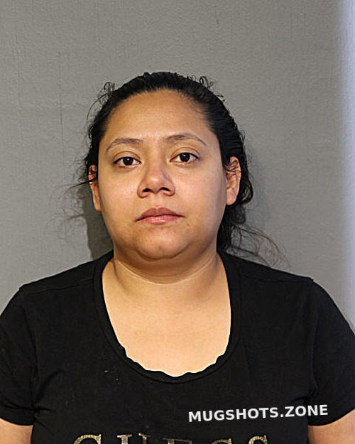 ANA MARIA ARIAS 03/04/2024 - Chicago Mugshots Zone