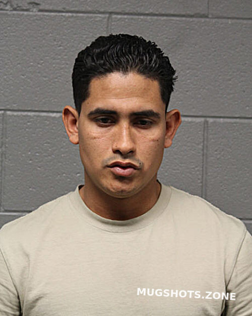LUIS GUEVARA 03/09/2024 - Chicago Mugshots Zone