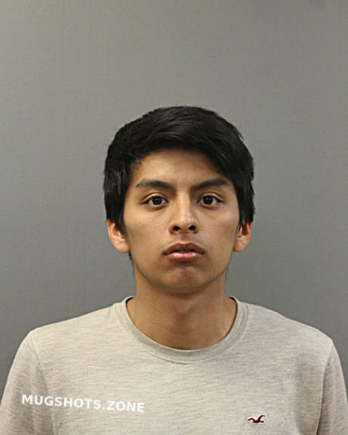 BRANDON SOTO 03/10/2024 - Chicago Mugshots Zone