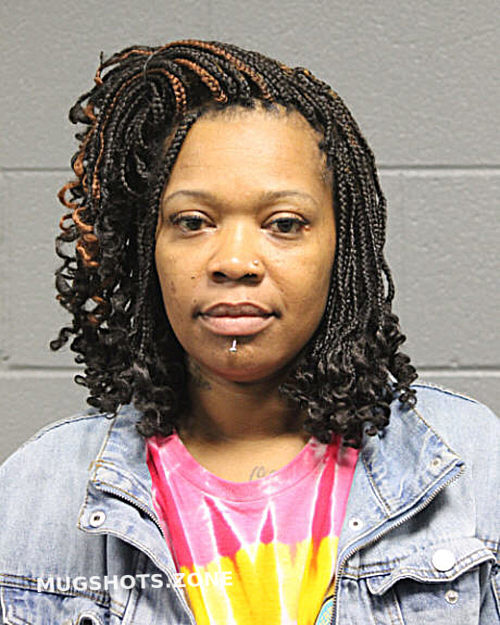 ERICA L NELLEM 03/14/2024 - Chicago Mugshots Zone