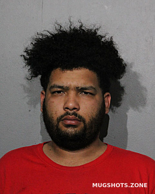 DYLAN K LOYO ALVVAREZ 03/14/2024 - Chicago Mugshots Zone