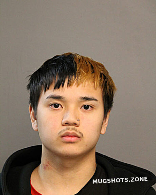 JIMMY VO 03/16/2024 - Chicago Mugshots Zone