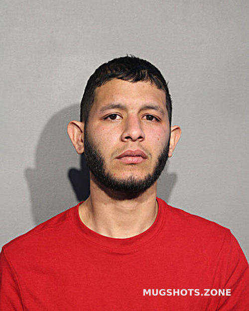 DANY ALEXANDER SANCHEZ GALINDEZ 03/16/2024 - Chicago Mugshots Zone