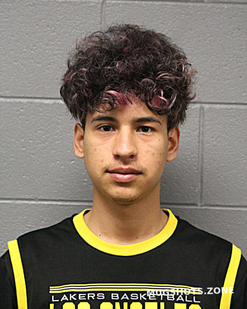 ENRIQUE ALEJANDRO HERNANDEZ JAIMES 03/18/2024 - Chicago Mugshots Zone