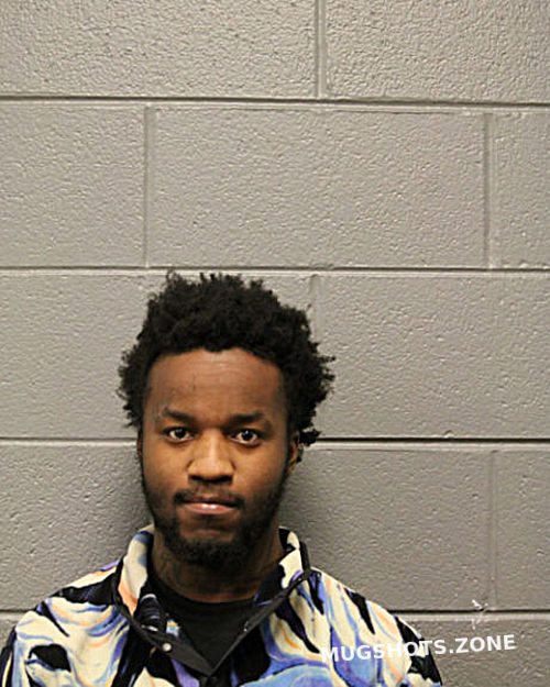 TRINITY B PETERSON 03/18/2024 - Chicago Mugshots Zone