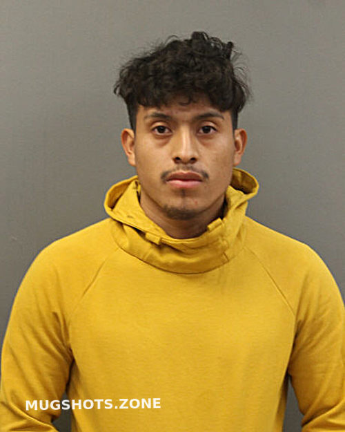 RONALDO RAMIREZ 03/20/2024 - Chicago Mugshots Zone