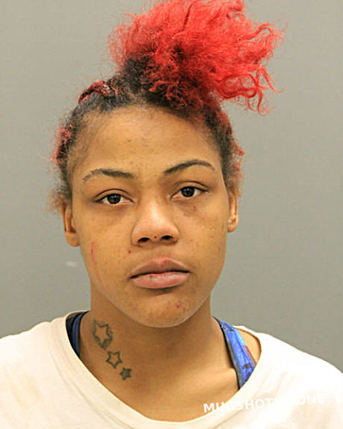 ARIELLE WILLIAMS 03/20/2024 - Chicago Mugshots Zone