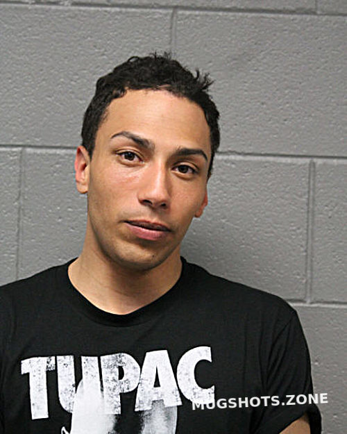 JESSE MODJESKI 03/20/2024 - Chicago Mugshots Zone