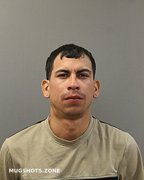 JHONKELVIS DAVID ARTEAGA-BRACHO 03/21/2024 - Chicago Mugshots Zone