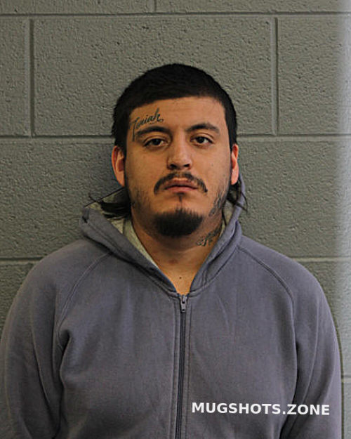 JONATHAN ANTHONY RODRIGUEZ 03/22/2024 - Chicago Mugshots Zone