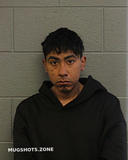 FABIAN L CALDERON 03/22/2024 - Chicago Mugshots Zone