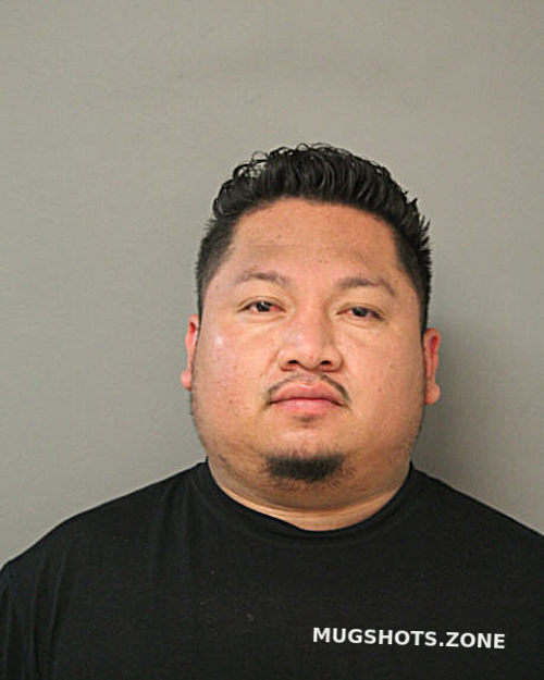 LUIS A VARGAS 03/24/2024 - Chicago Mugshots Zone