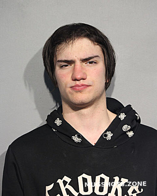 WILLIAM R MCINTEE 03/29/2024 - Chicago Mugshots Zone