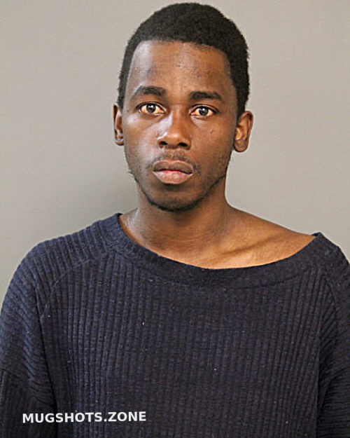 BRUCE S AUSTIN 03/29/2024 - Chicago Mugshots Zone