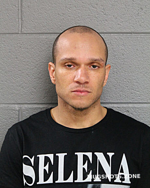 ADRIAN HALL 03/29/2024 - Chicago Mugshots Zone