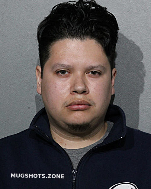 MARIO V NAVARRO 03/30/2024 - Chicago Mugshots Zone