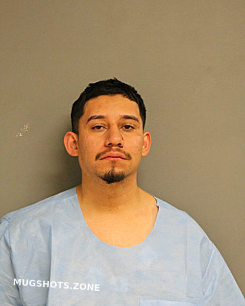 FERNANDO CASTELAN 04/02/2024 - Chicago Mugshots Zone