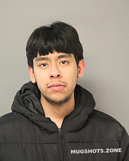 RUBEN NAVARRETE 04/03/2024 - Chicago Mugshots Zone