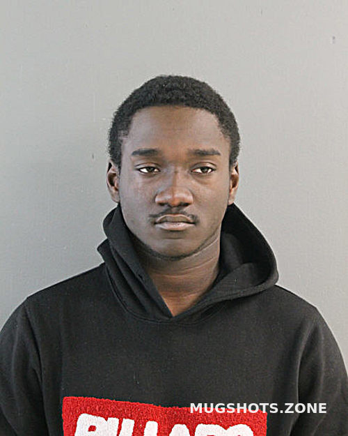 DAVID J MCNICKLES 04/04/2024 - Chicago Mugshots Zone