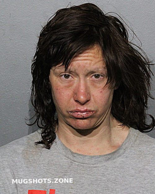 STEPHANIE M VENDOLA 04/08/2024 - Chicago Mugshots Zone