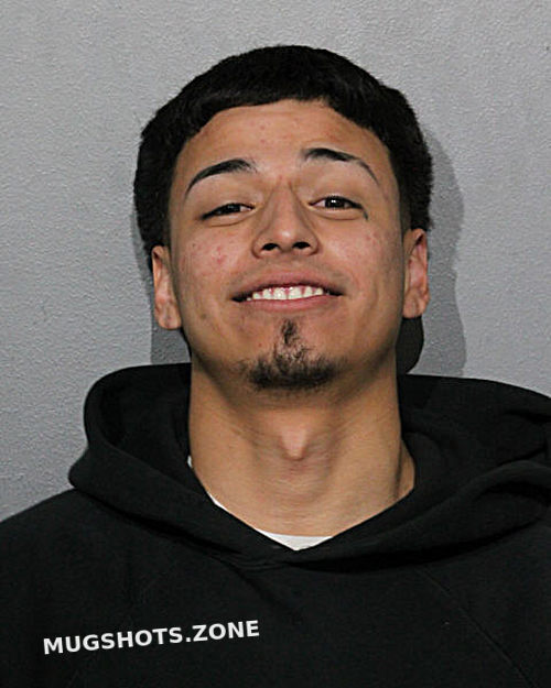 ALEJANDRO MALVAIZ JR 04/08/2024 - Chicago Mugshots Zone