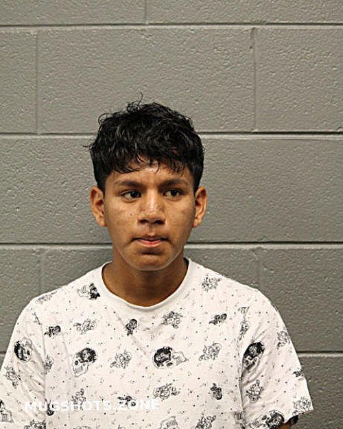 BRYAN J MARTINEZ GUAMAN 04/11/2024 - Chicago Mugshots Zone