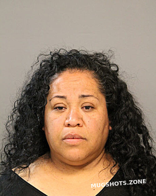 BRENDA M GRES 04/13/2024 - Chicago Mugshots Zone