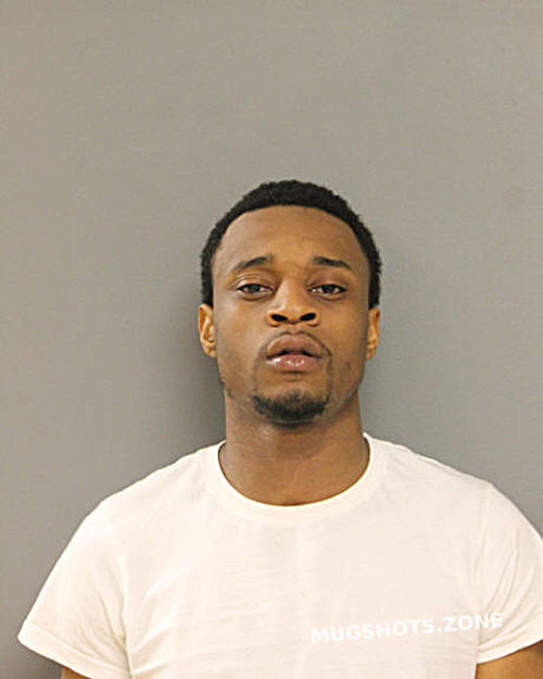 MARION D ROSS 04/14/2024 - Chicago Mugshots Zone