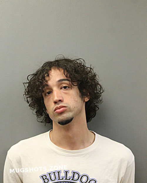 Nathan Christopher Palmer 04152024 Chicago Mugshots Zone