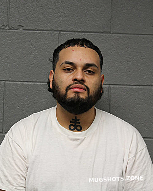 FRANCISCO J LUNA 04/15/2024 - Chicago Mugshots Zone