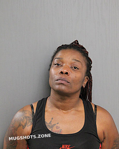 PAULA KELLEY 04/15/2024 - Chicago Mugshots Zone