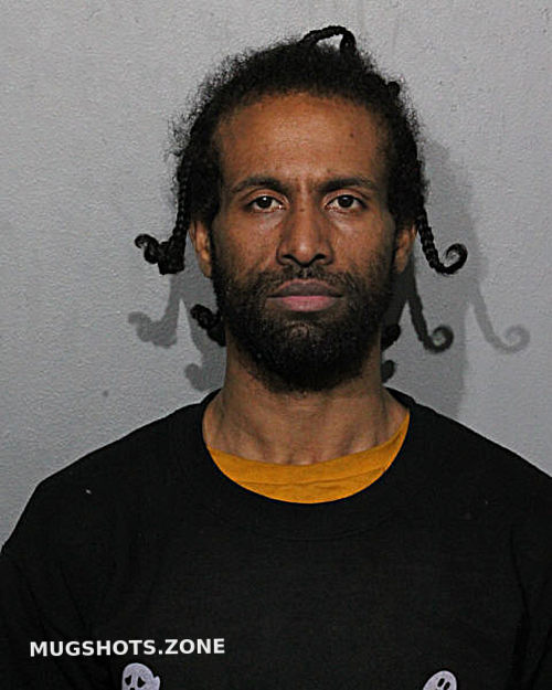 TEMESGEN M NEGASH 04/16/2024 - Chicago Mugshots Zone