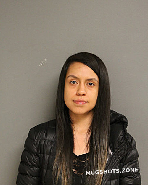 MIREYA CARRILLO 04/18/2024 - Chicago Mugshots Zone